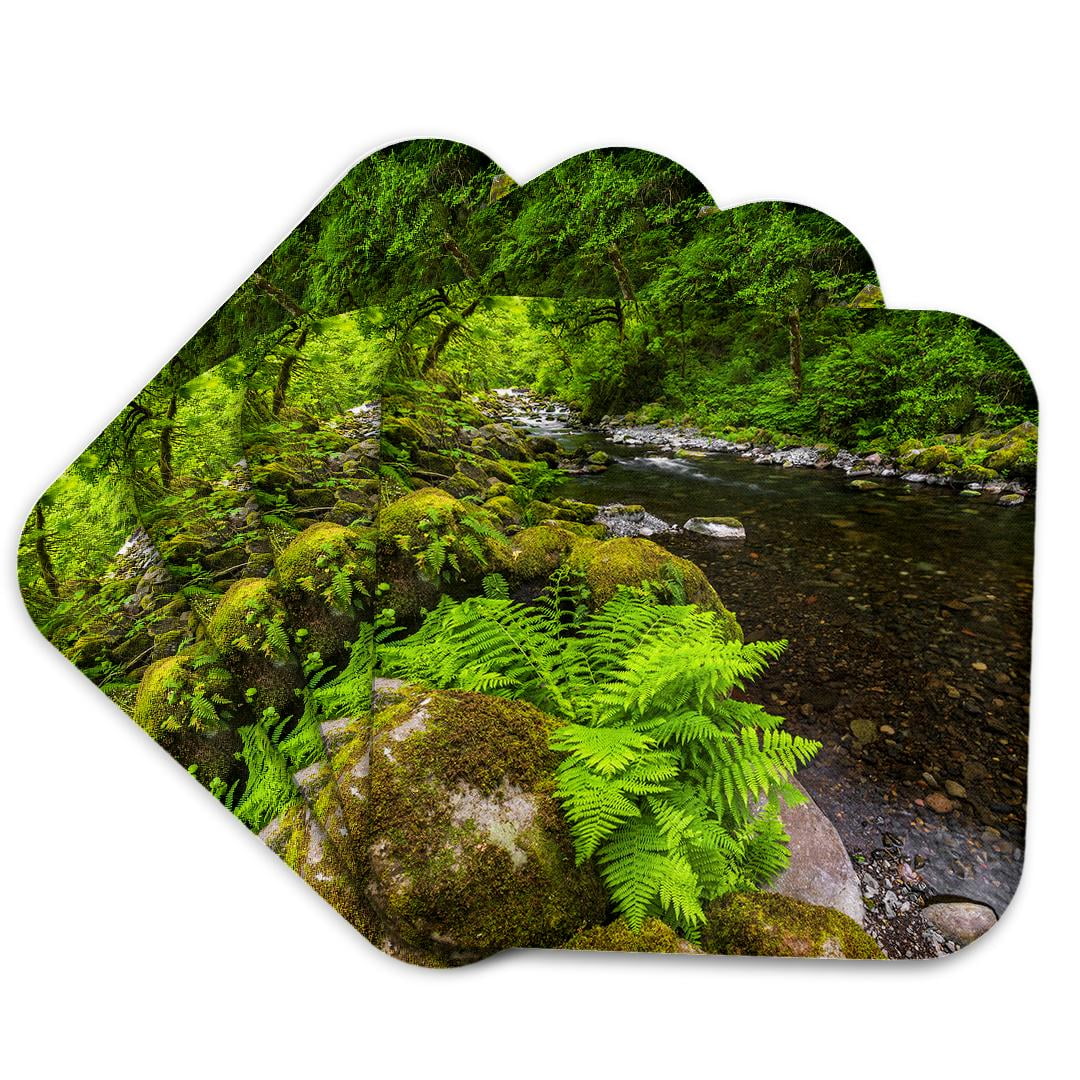 3drose, Deep Bright Orange Hibiscus Flower, Honolulu. State Flower of ...