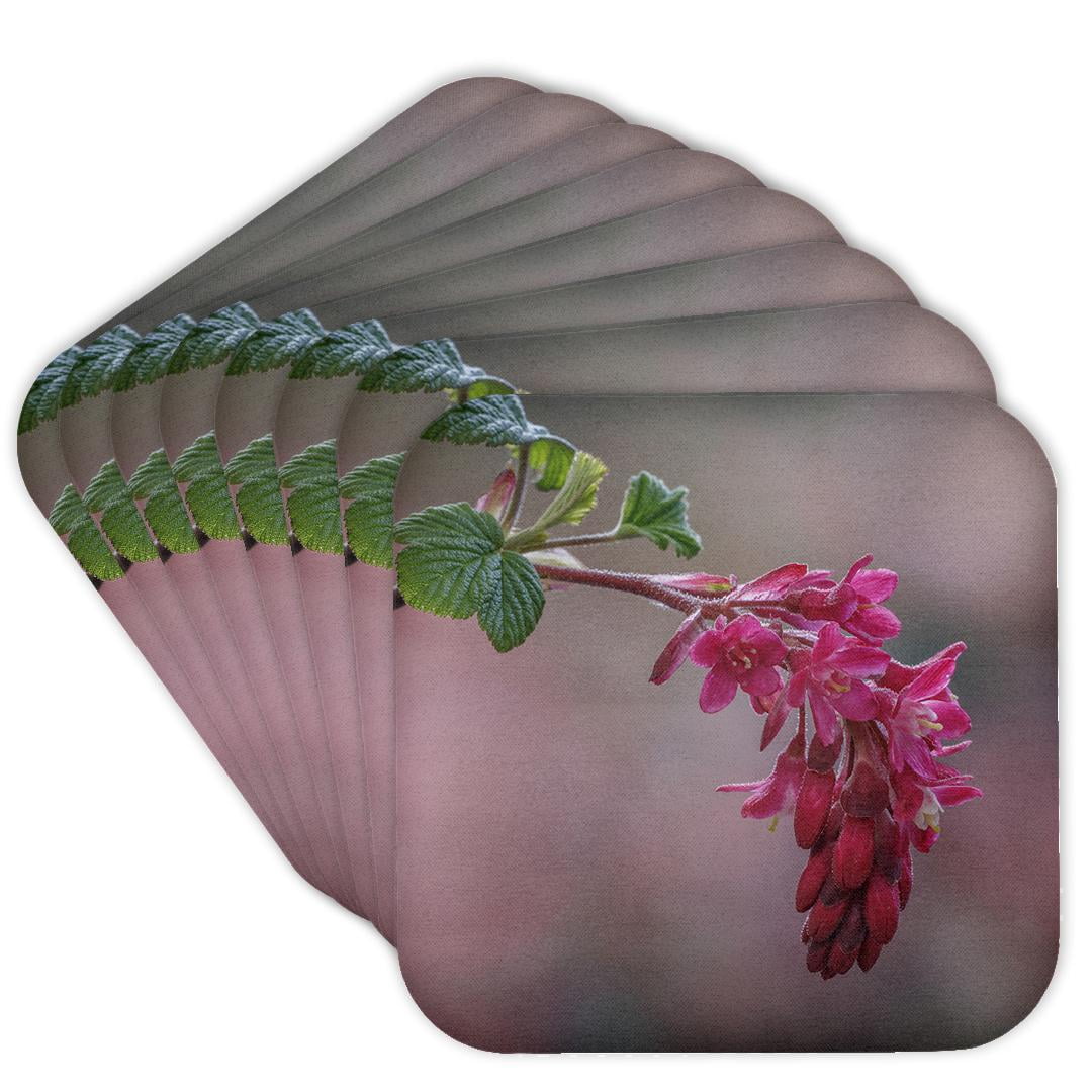 3drose, Deep Bright Orange Hibiscus Flower, Honolulu. State Flower of ...