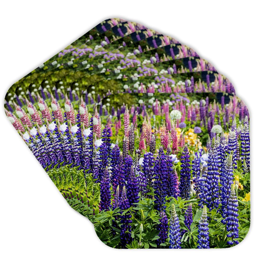 3drose, Deep Bright Orange Hibiscus Flower, Honolulu. State Flower of ...