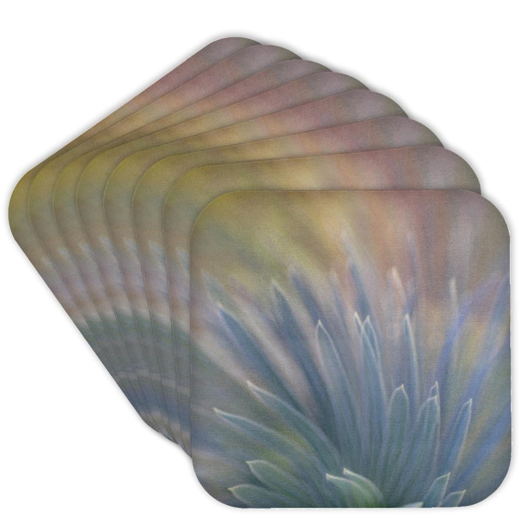 3drose, Deep Bright Orange Hibiscus Flower, Honolulu. State Flower of ...