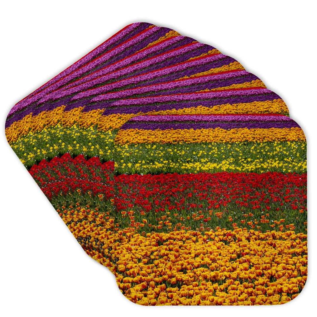 3drose, Deep Bright Orange Hibiscus Flower, Honolulu. State Flower of ...