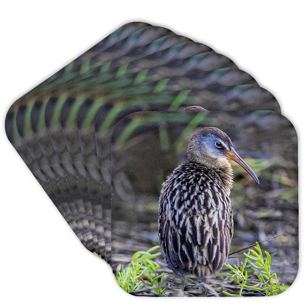 3drose, Deep Bright Orange Hibiscus Flower, Honolulu. State Flower of ...