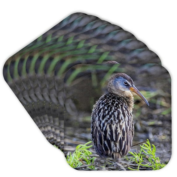 3drose, Deep Bright Orange Hibiscus Flower, Honolulu. State Flower of ...