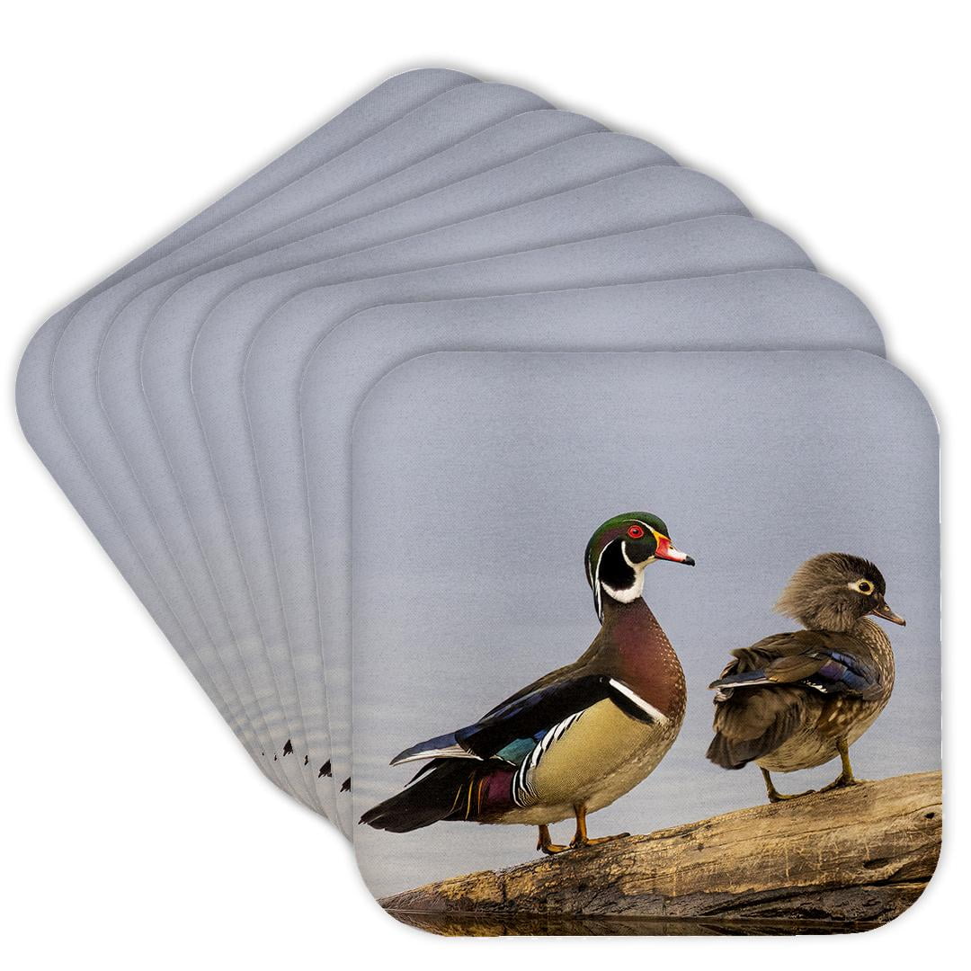 3drose, Deep Bright Orange Hibiscus Flower, Honolulu. State Flower of ...