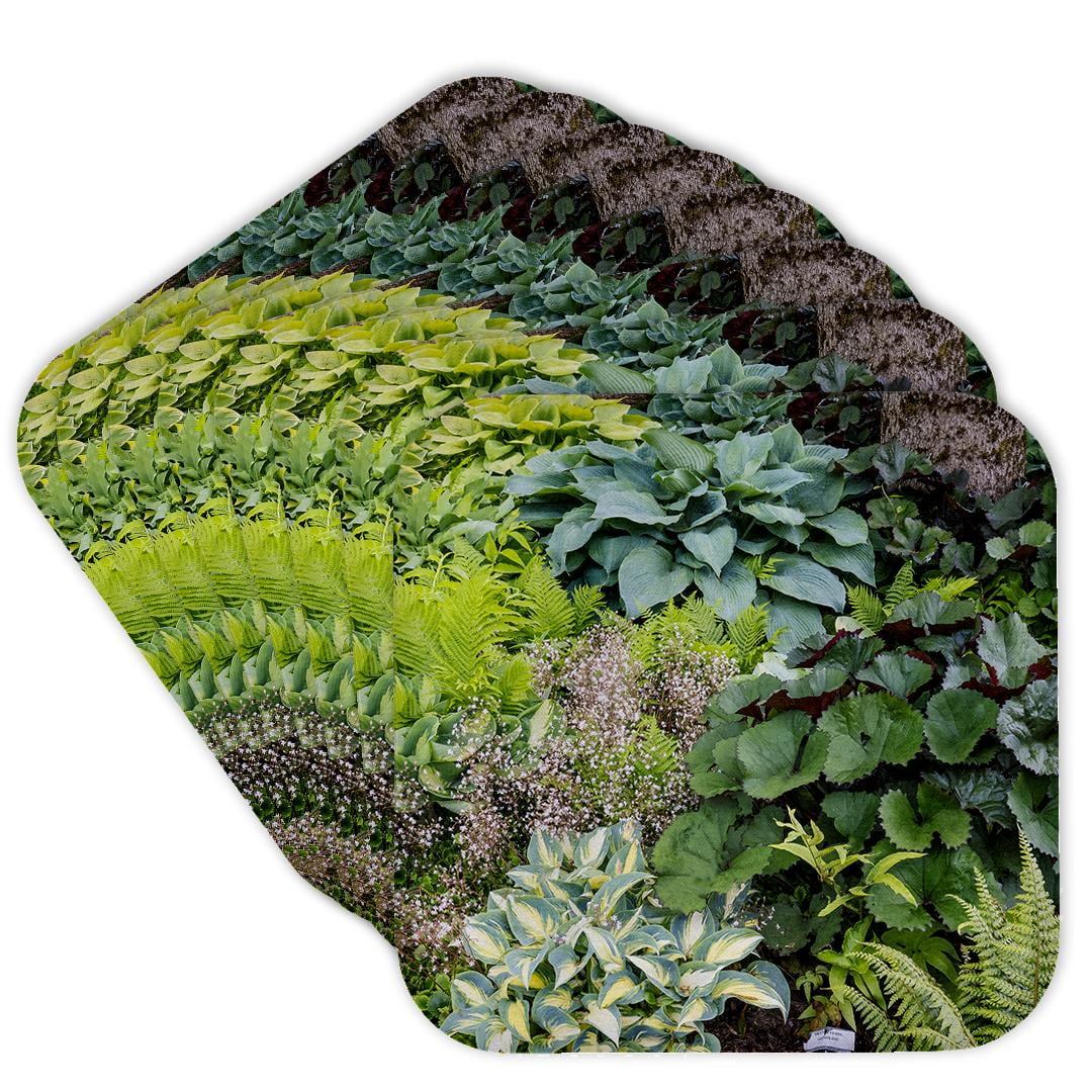 3drose, Deep Bright Orange Hibiscus Flower, Honolulu. State Flower of ...