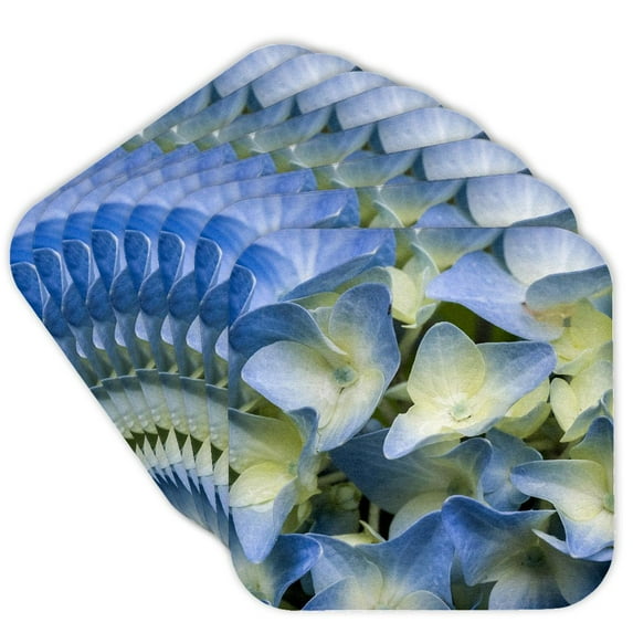 3drose, Deep Bright Orange Hibiscus Flower, Honolulu. State Flower of ...