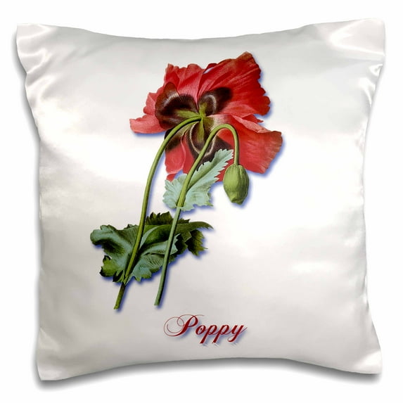 3drose, Deep Red Poppy Flower Botanical Print, 16x16 inch Pillow Case ...