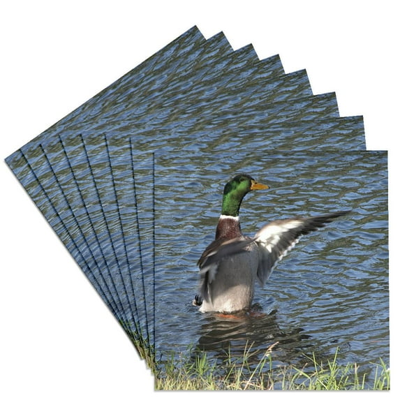 3drose, Drake, Male Mallard Duck, Set of 8 Ceramic Tile Coasters ...