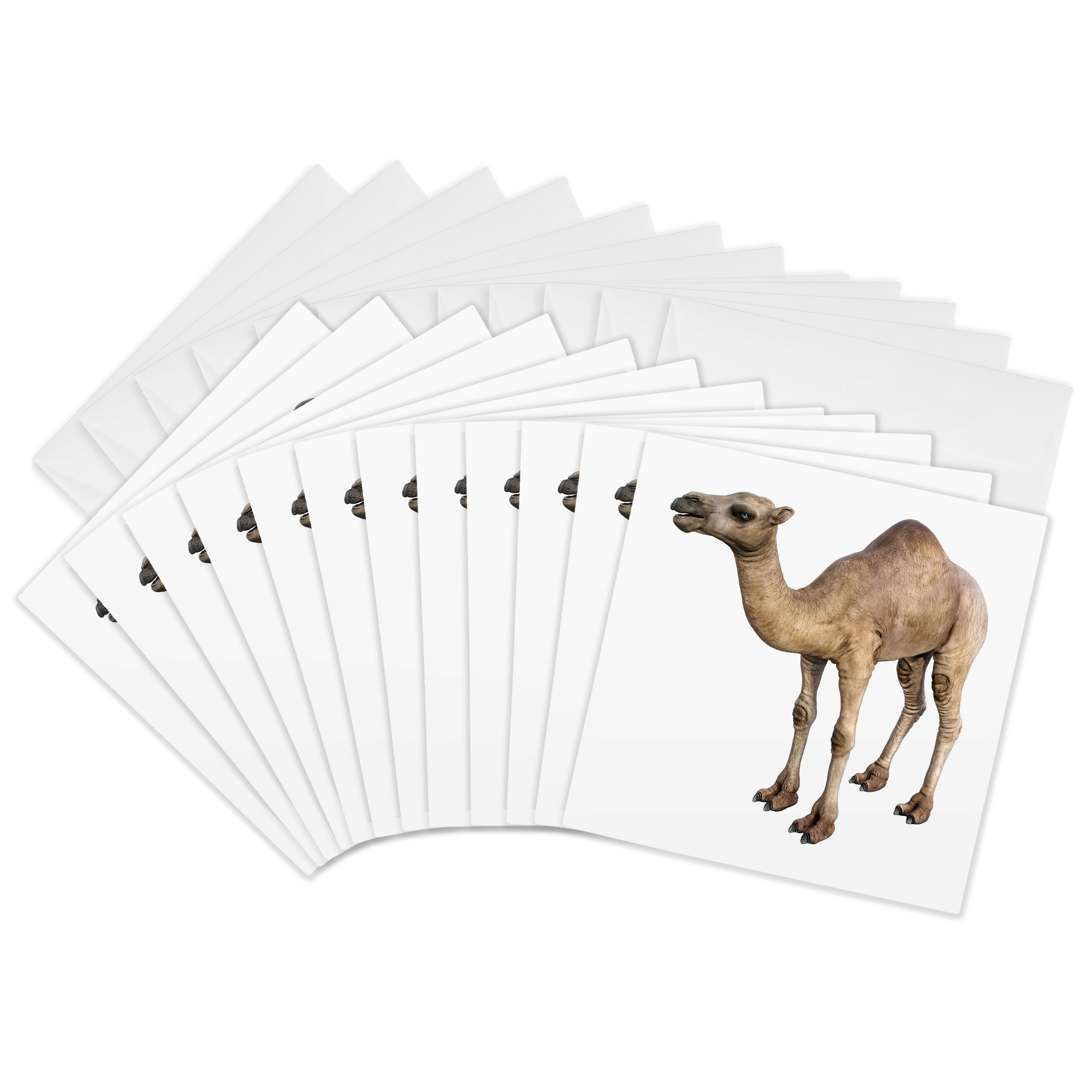 3drose, Dromedary Camel in Near Side Profile, 12 Greeting Cards with ...