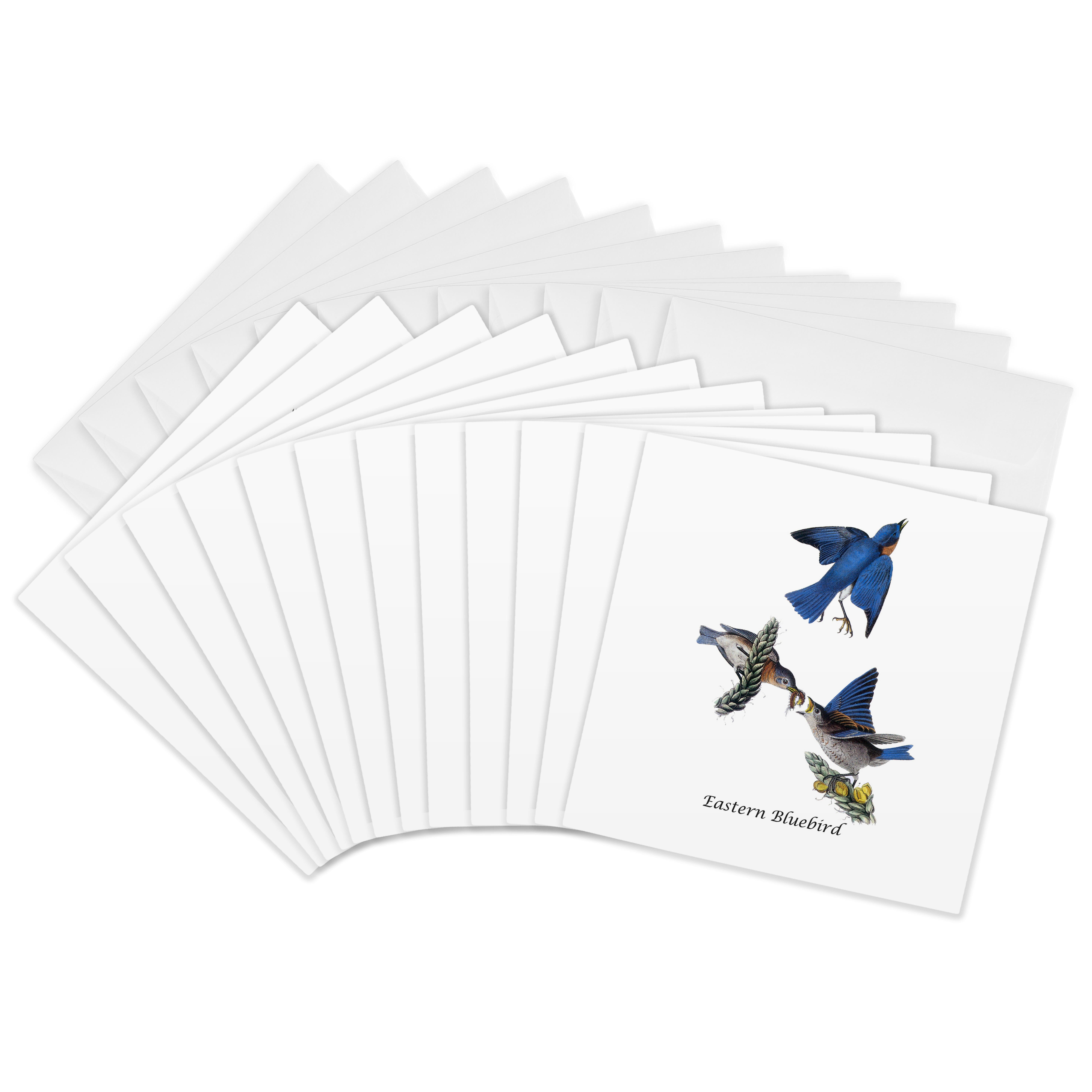3drose, Eastern Bluebird by John James Audubon, 12 Greeting Cards with ...