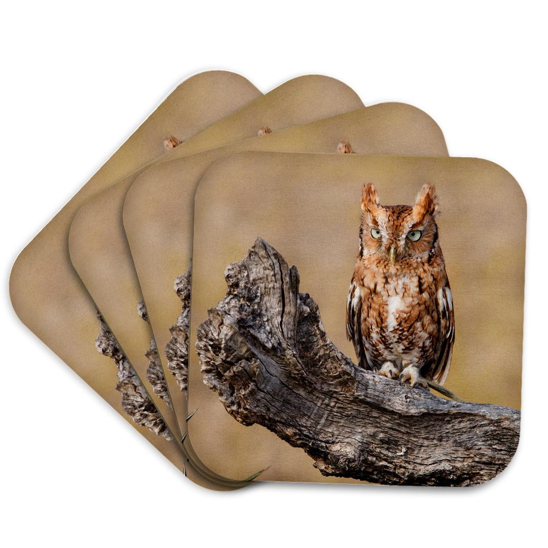 3drose, Eastern Screech Owl, Otus Asio, Roosting in Tree, Set of 4 ...