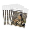 3drose, Ecuador. Marine Iguana, Galapagos Islands - Sa07 Rbe0065 ...