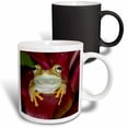 3drose, Emerald-eyed Tree Frog Resting on Bromeliad., 11oz Magic ...