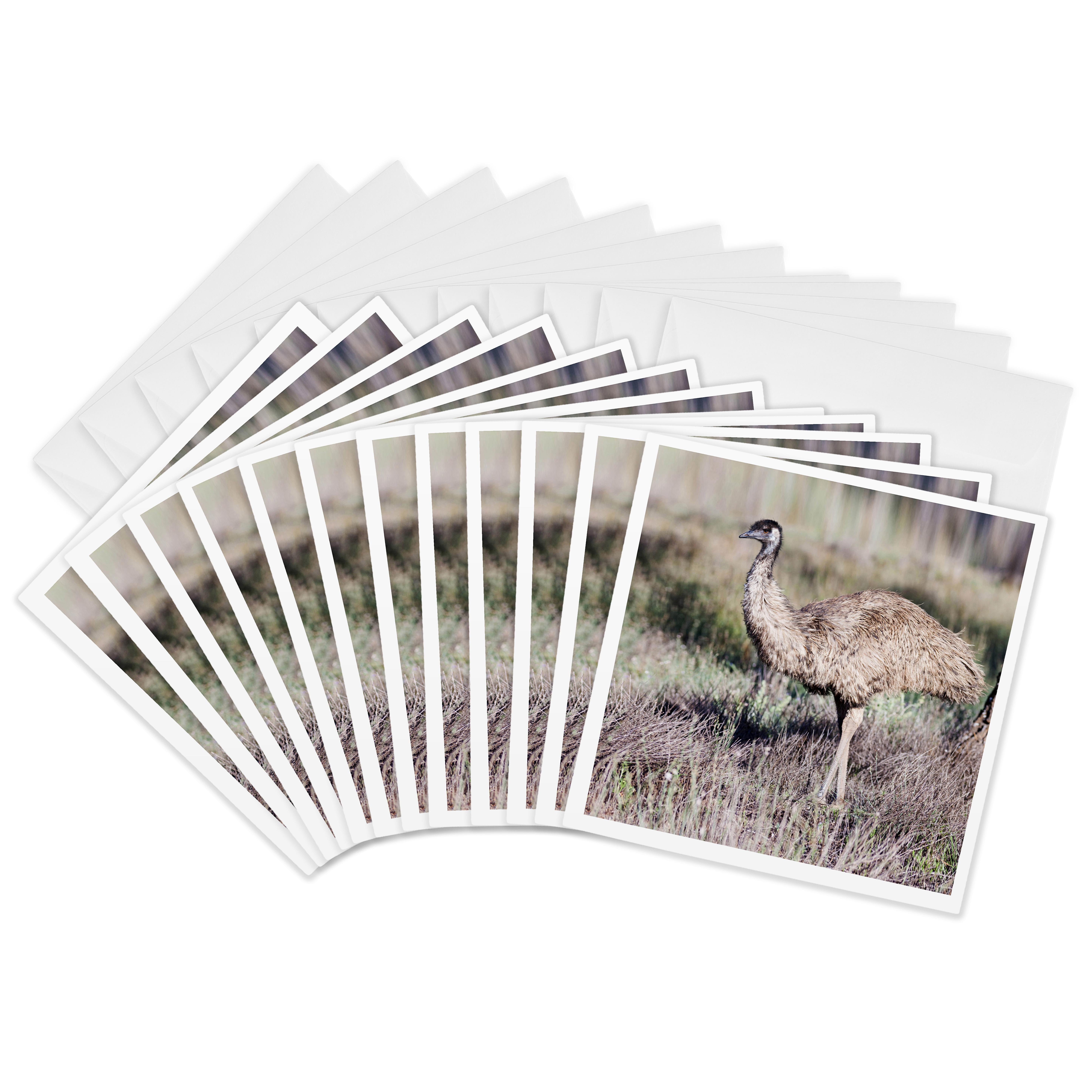 3drose, Emu Wildlife, Australia - Au01 Mzw0319 - Martin Zwick, 12 ...