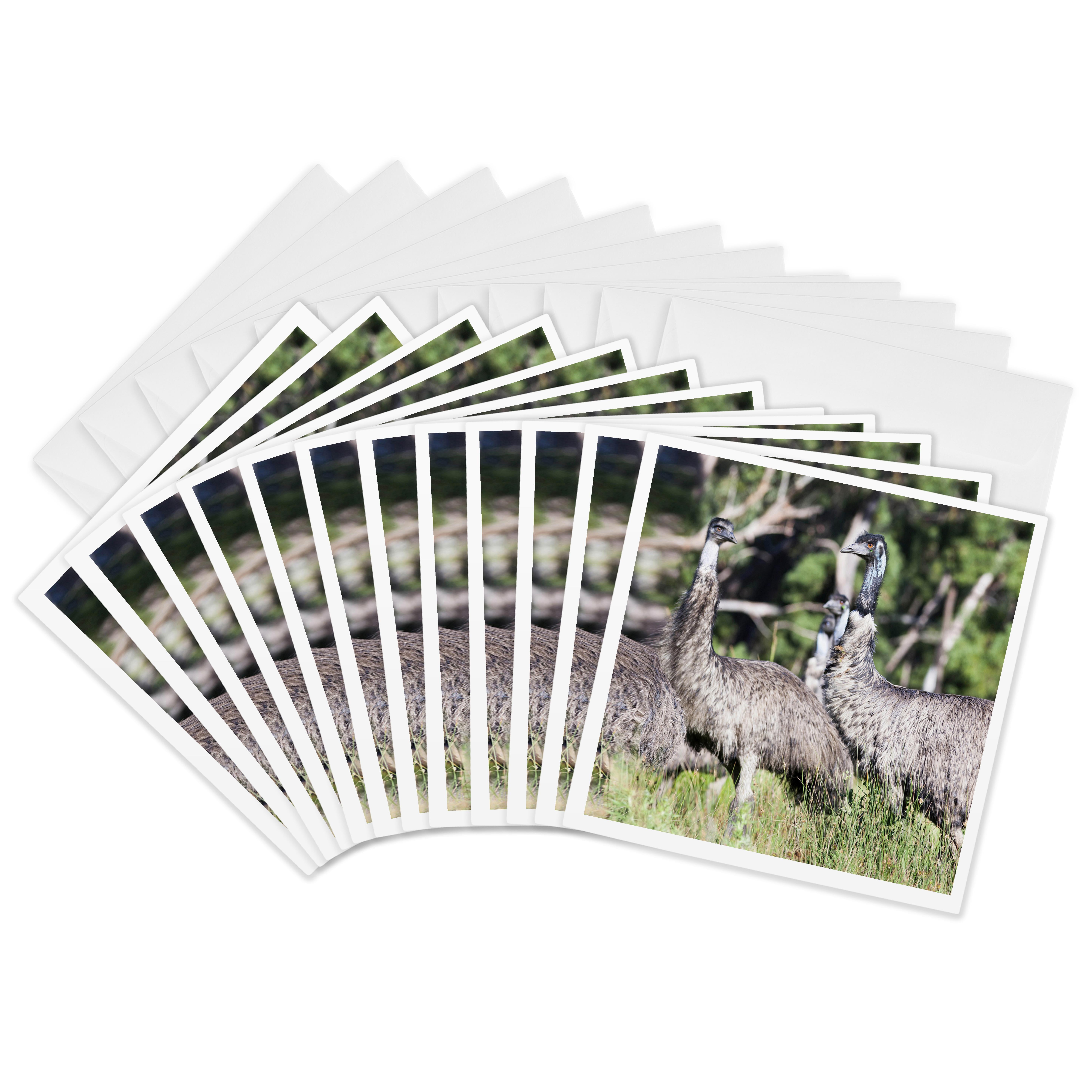 3drose, Emu Wildlife, Victoria, Australia - Au01 Mzw0312 - Martin Zwick ...