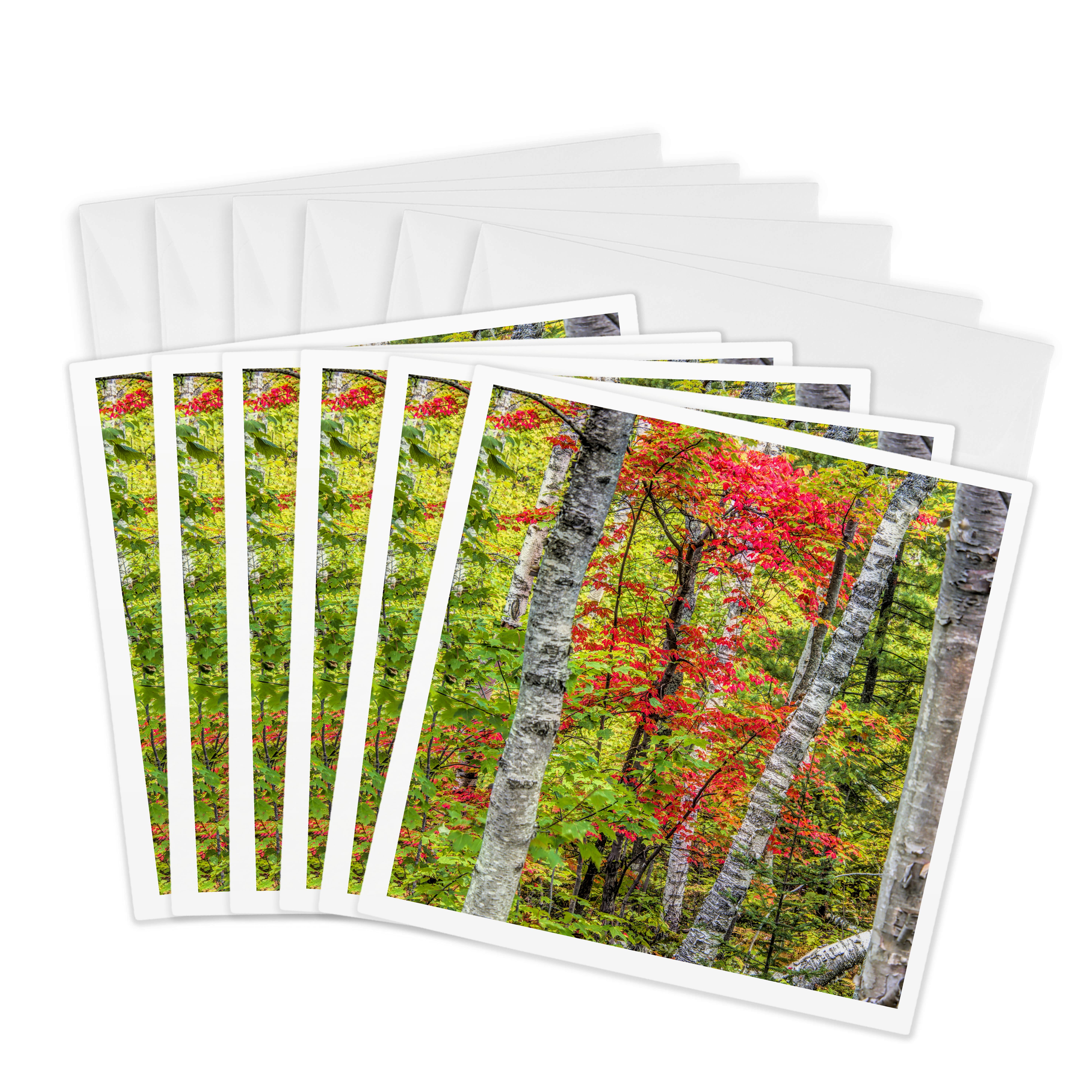 3drose, Fall Color in the Hardwood Forest of the Upper Peninsula ...