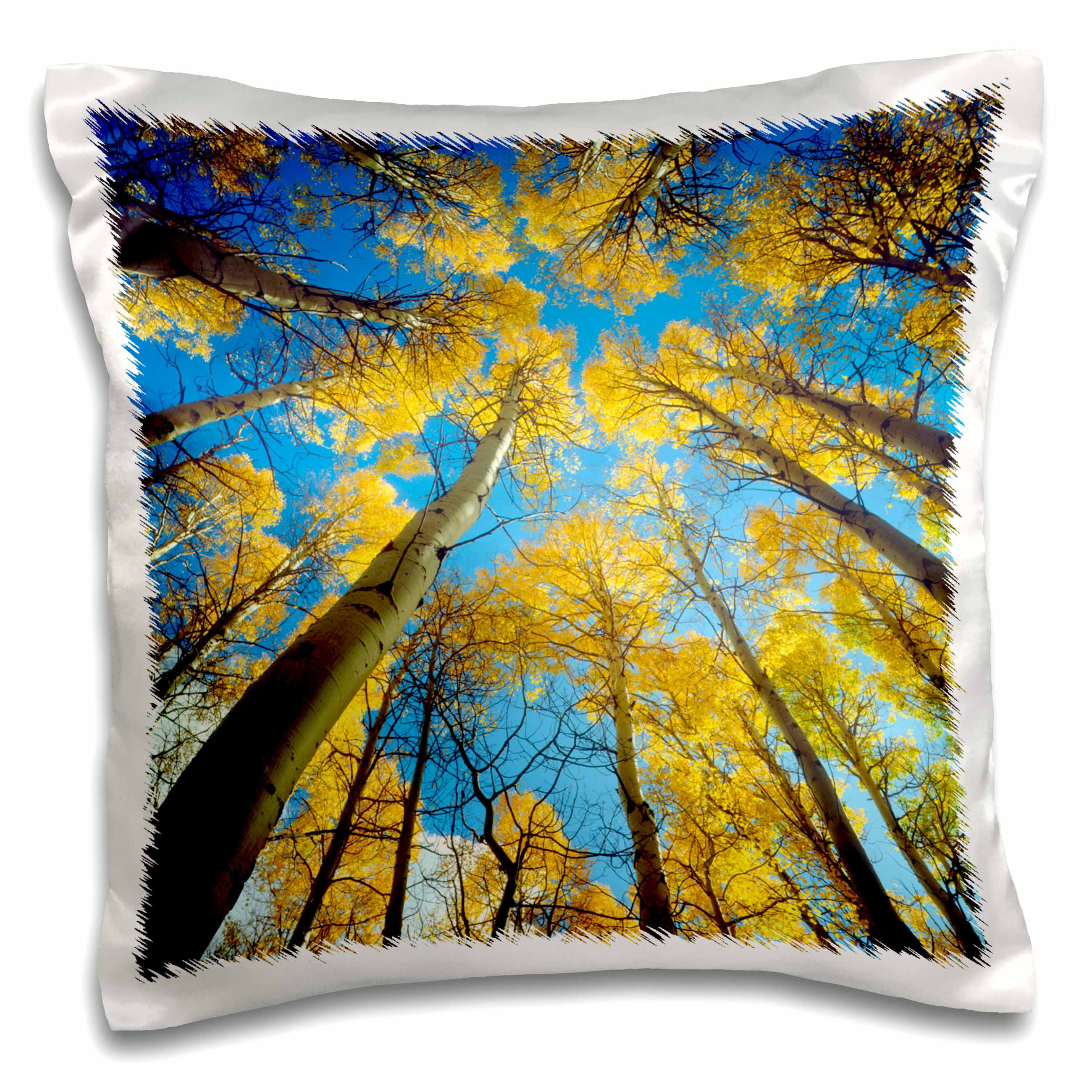 3drose, Fall Colors of Aspen Trees., 16x16 inch Pillow Case - Walmart.com