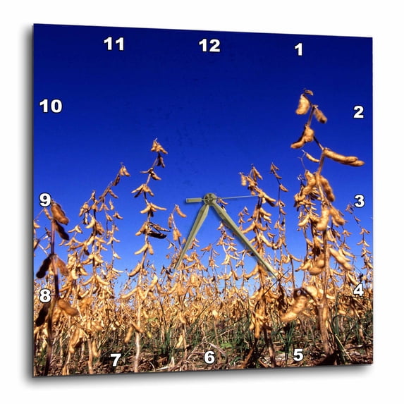 3drose, Farm Soybean Harvest Field, 13x13 Wall Clock - Walmart.com