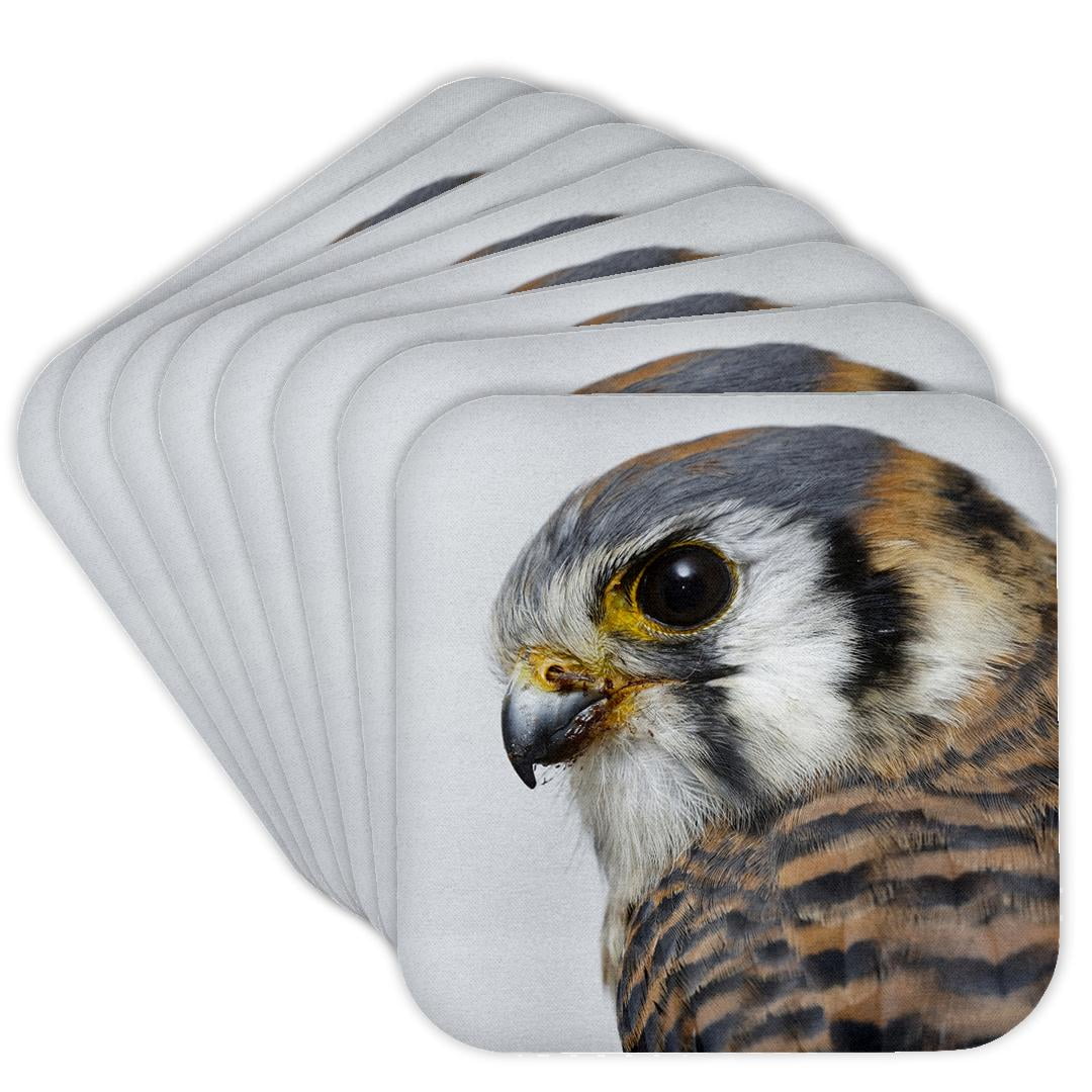 3drose, Female American Kestrel in Winter ., Set of 8 Coasters - Soft ...