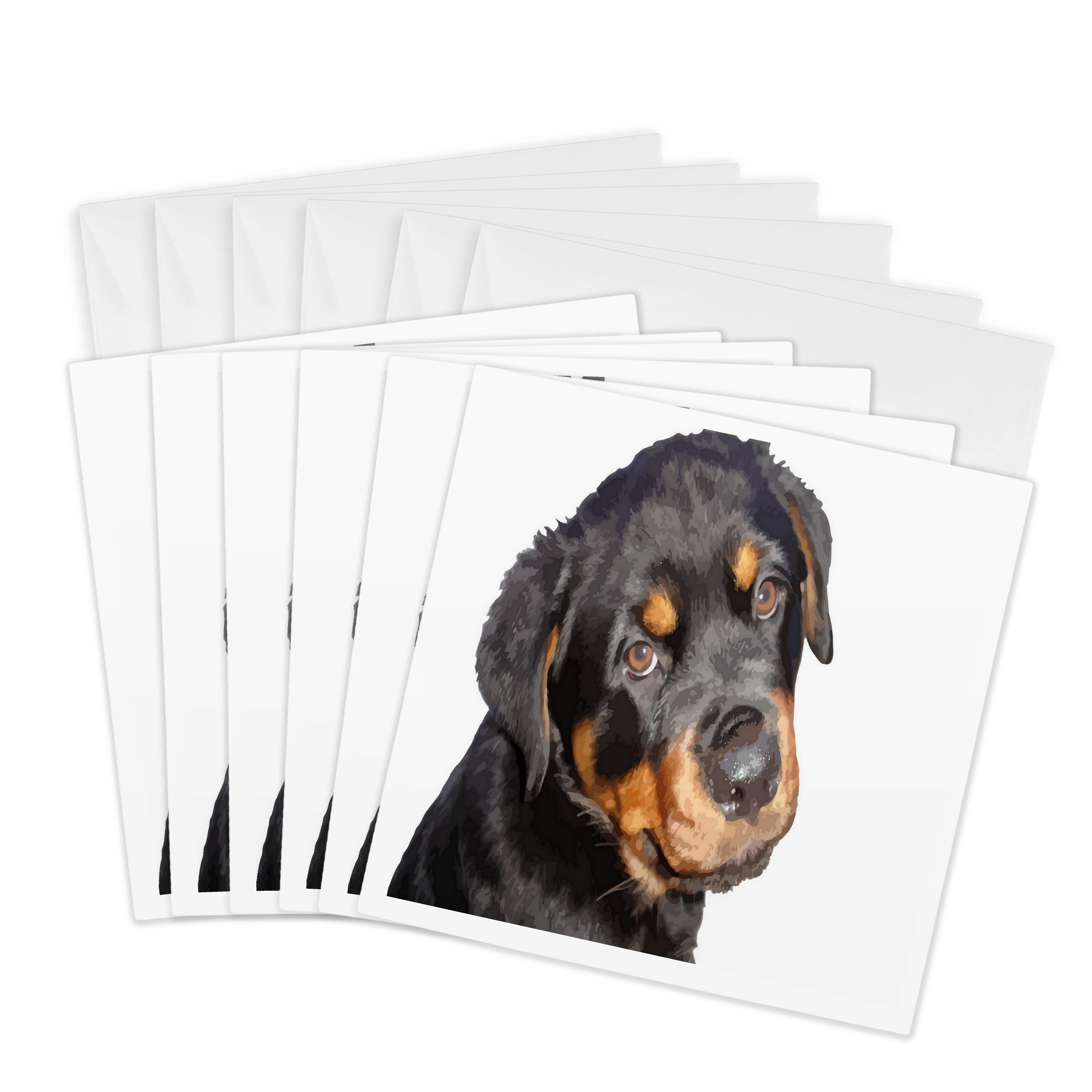 3drose, Female Rottweiler Puppy Making Eye Contact Isolated, 6 Greeting ...
