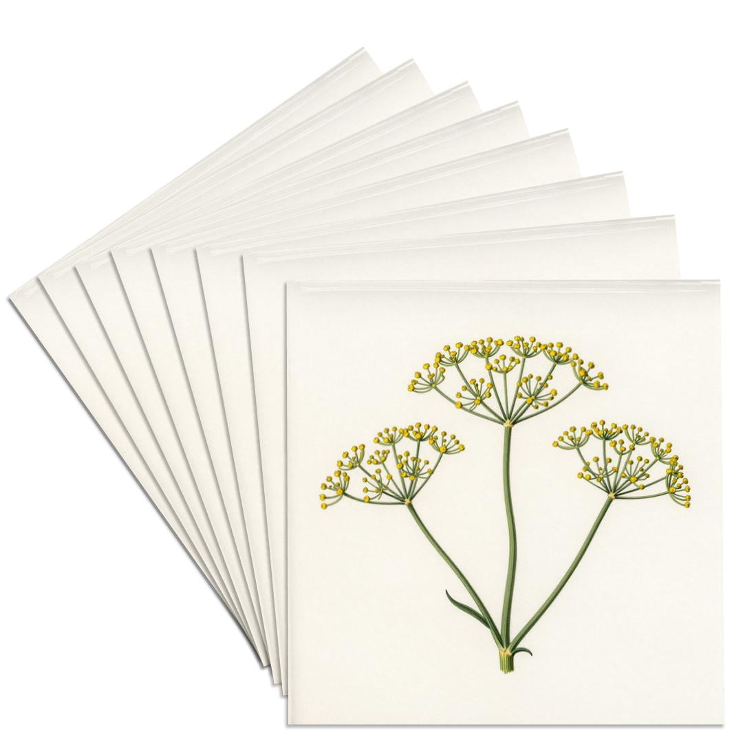 3drose, Fennel Botanical Vintage Herbal Illustration, Set of 8 Ceramic ...