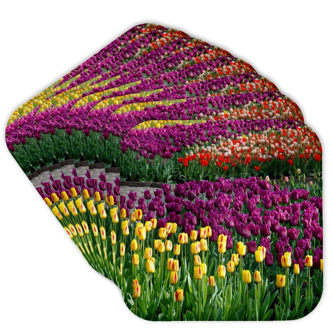 3drose, Fields of Tulip Flowers- Spring Colors- Photography, Set of 8 ...