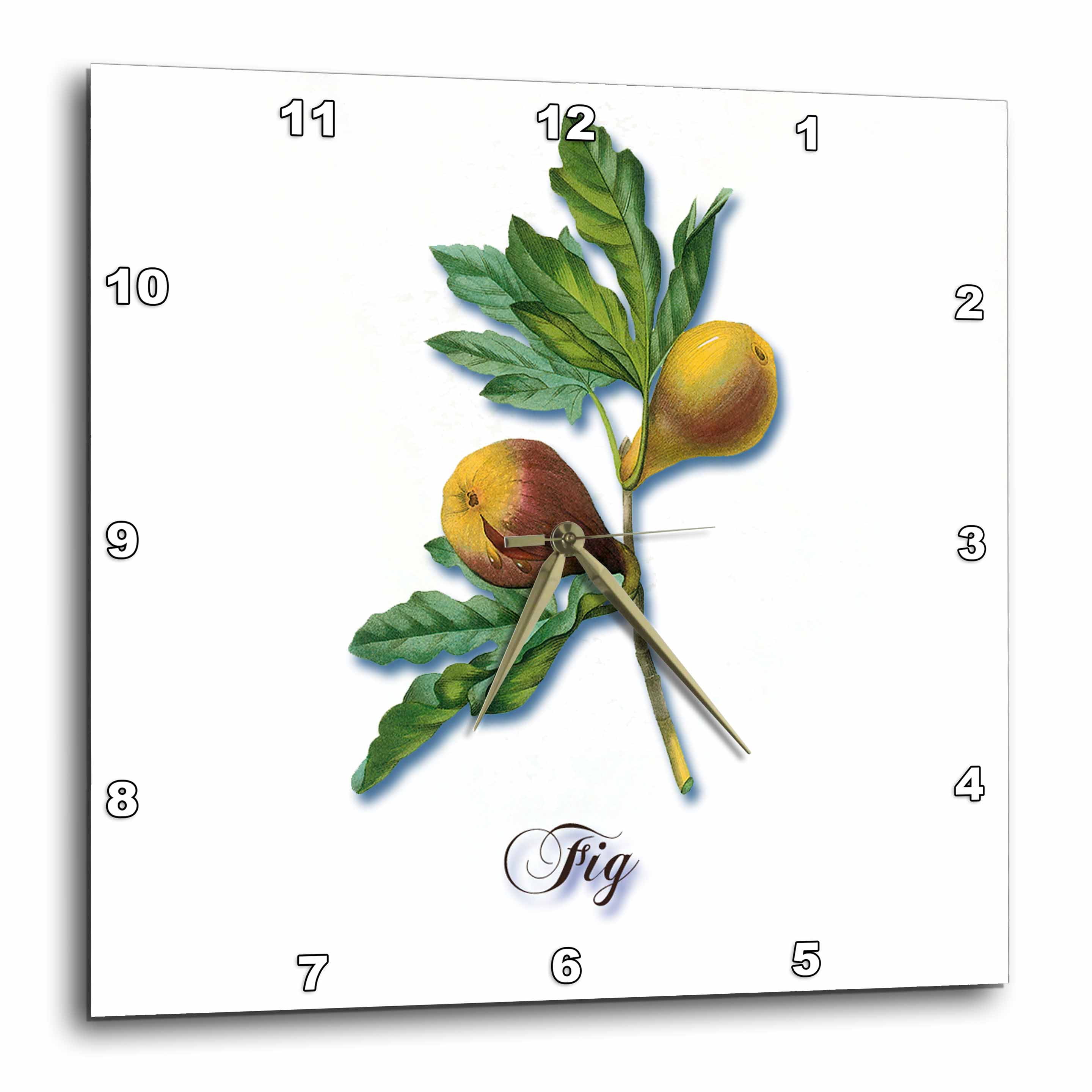 3drose, Fig, Botanical Print of Fig Fruits on a Branch, 15x15 Wall ...