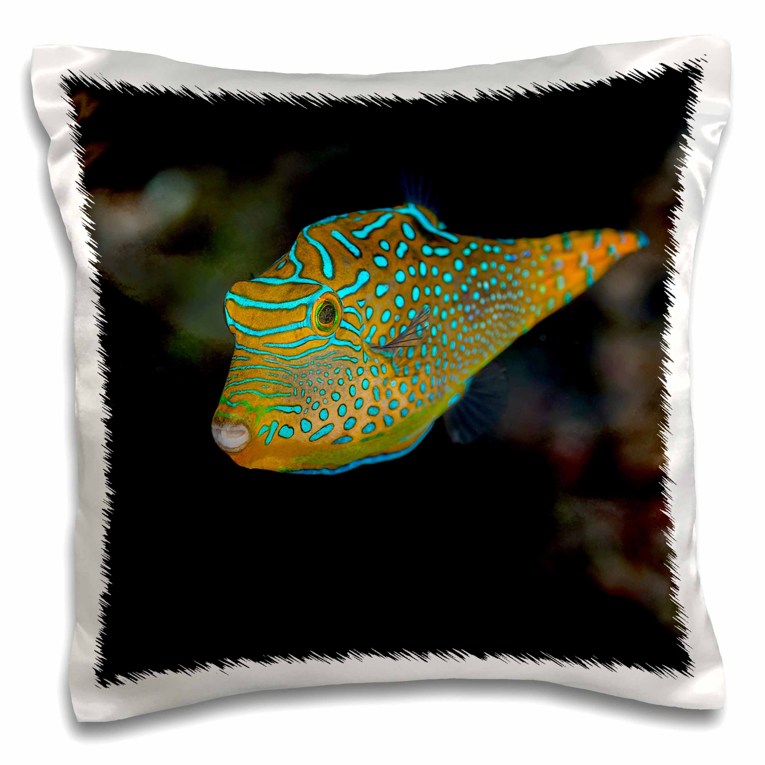 3drose, Fiji. Close up of Papua Toby Fish, 16x16 inch Pillow Case ...