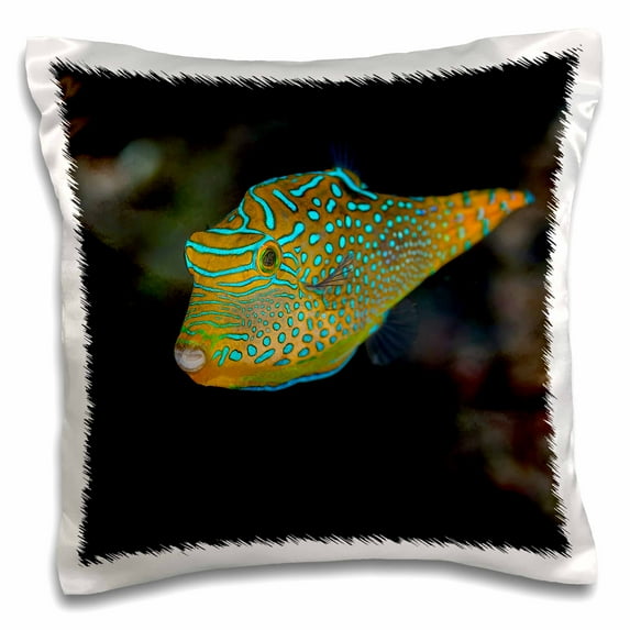 3drose, Fiji. Close up of Papua Toby Fish, 16x16 inch Pillow Case ...