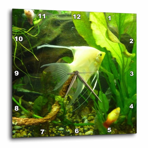 3drose, Fish in Green, 10x10 Wall Clock - Walmart.com