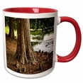 3drose, Florida Cypress Tree, 11oz Two-tone Red Mug - Walmart.com