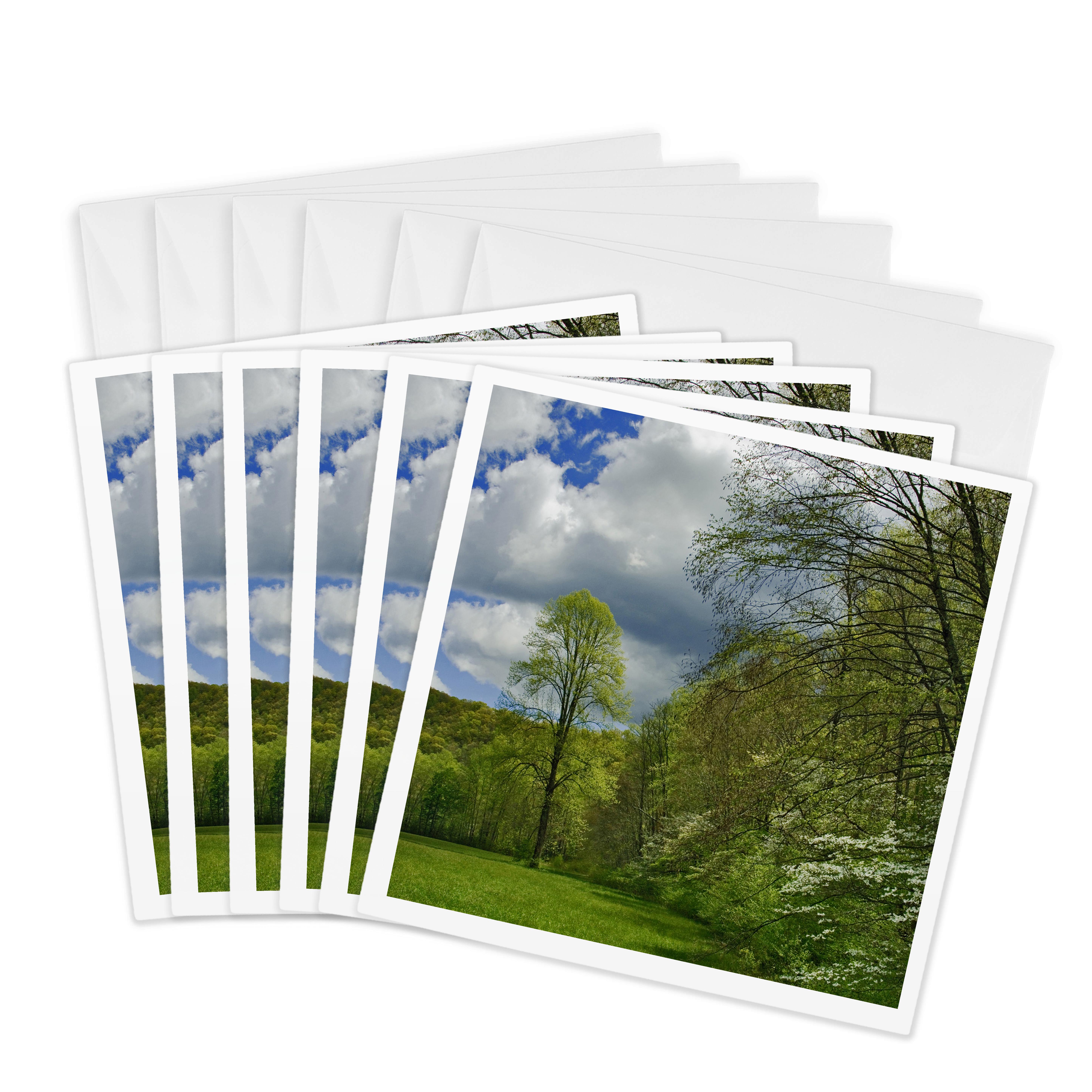 3drose, Flowering Dogwood Tree, Great Smoky Mountains, Nc - Us34 ...