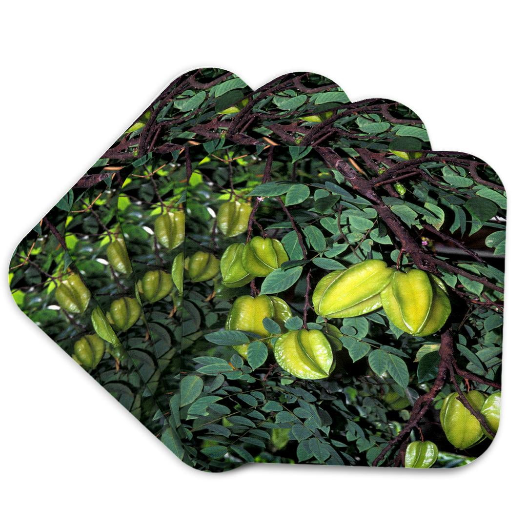 3drose, Food Fresh Starfruits Carambolas, Set of 4 Coasters - Soft ...
