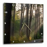 3drose, Forest, Wilderness Drive, Itasca Sp, Minnesota - Us24 Pha0122 ...