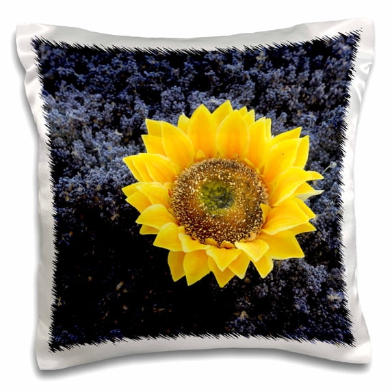 3drose, France, Lourmarin. Dried Sunflower, 16x16 inch Pillow Case ...