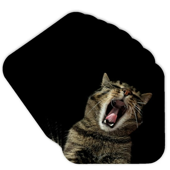 3drose, Funny and Cute Yawning Cat on Black Background, Set of 8 ...