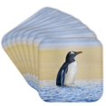 3drose, Gentoo Penguin, Early Morning. Falkland Islands, Saunders ...