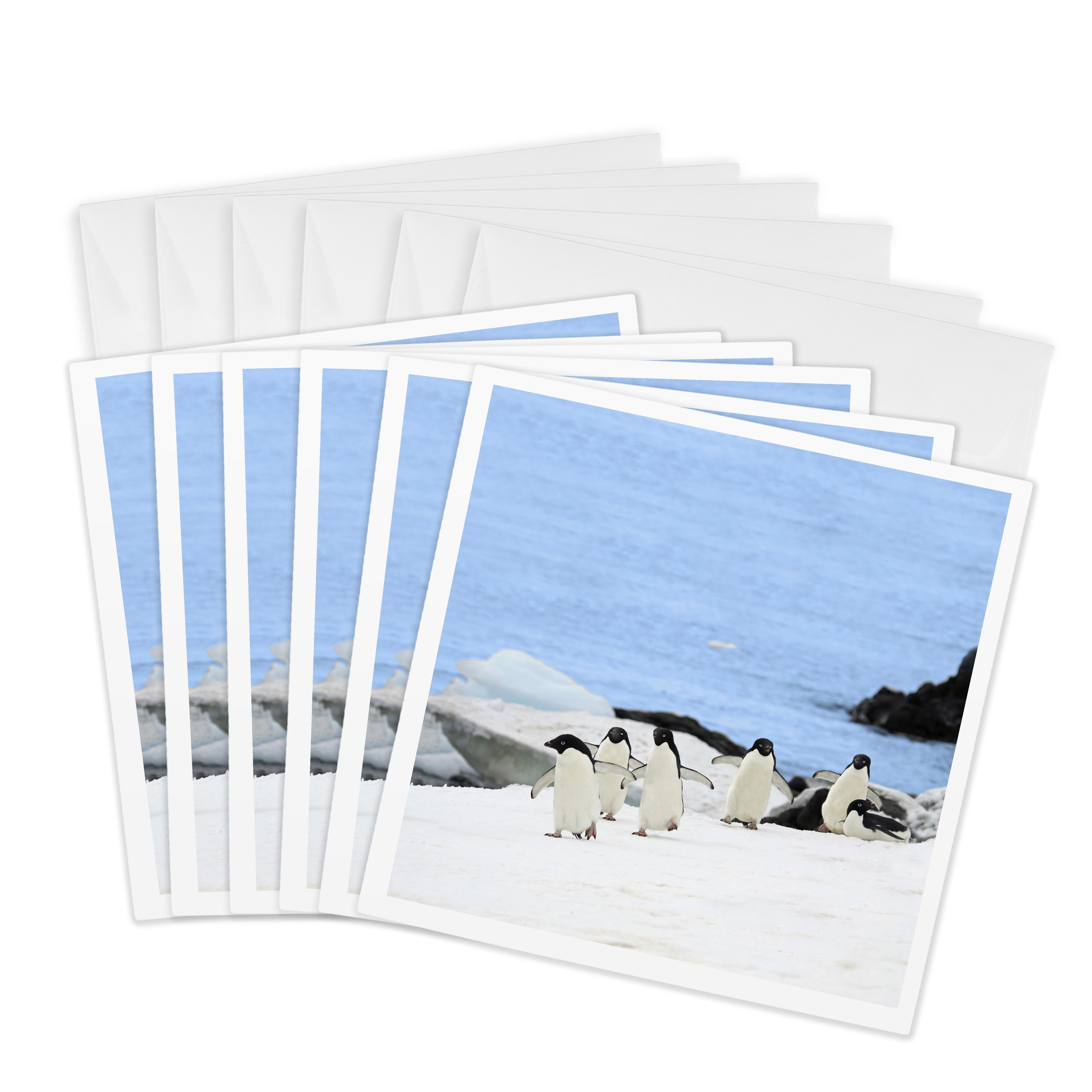3drose, Gentoo Penguin Rookery, Paradise Harbor, Antarctica - An02 ...