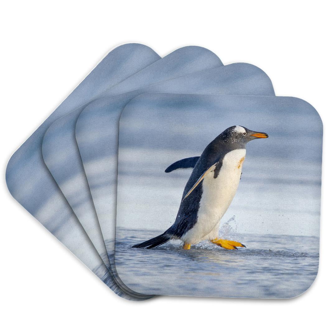 3drose, Gentoo Penguin on Coastline. Falkland Islands., Set of 4 ...