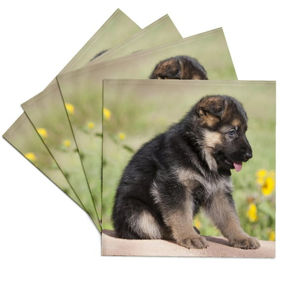 3drose, German Shepherd Puppy Dog - Na02 Zmu0175 - Zandria Muench ...