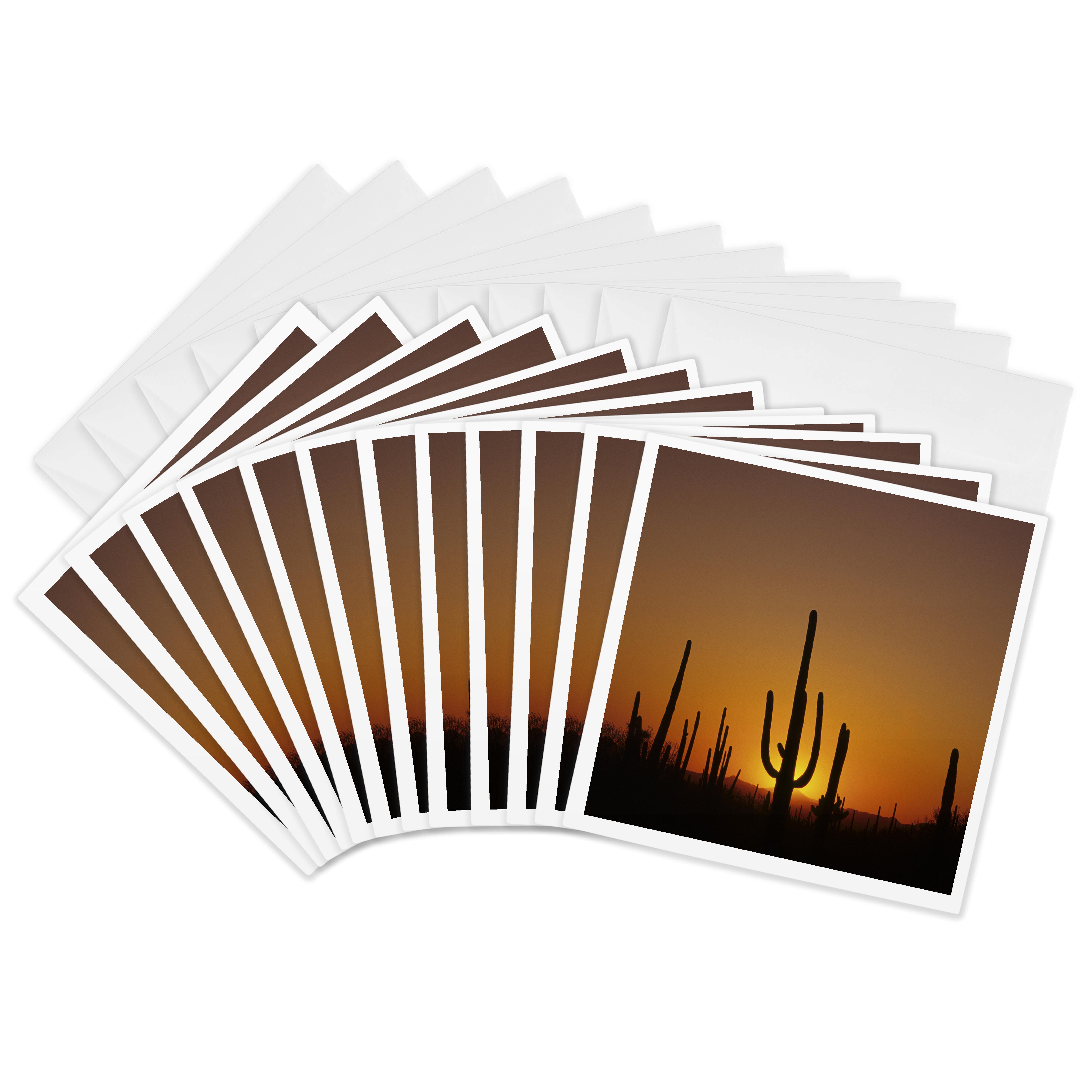 3drose, Giant Saguaro Cactus Succulent, Arizona - Us03 Jme0109 - John ...