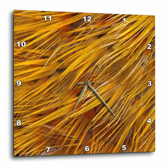 3drose, Golden Pheasant Feathers, 10x10 Wall Clock - Walmart.com