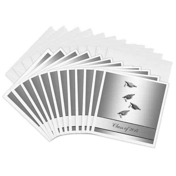 3drose, Graduation Caps, Class of 2014, Silver, 12 Greeting Cards with ...