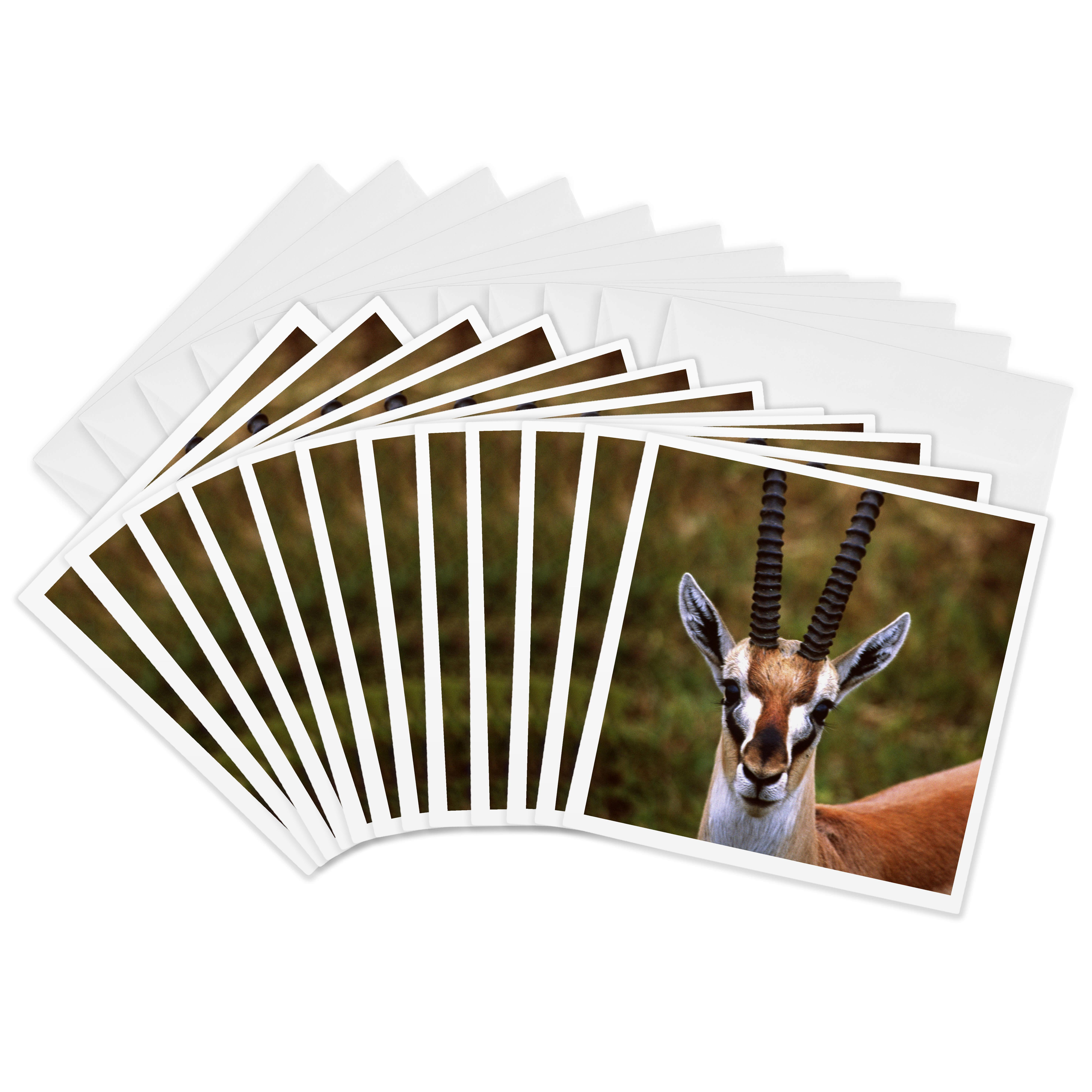 3drose, Grants Gazelle, Antelope, Tanzania Africa - Na02 Dno0356 ...