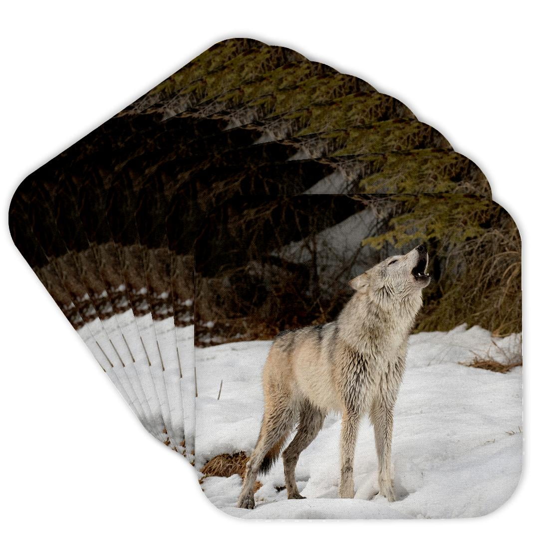 3drose, Gray Wolf Howling in Winter, Canis Lupus, Montana, Set of 8 ...