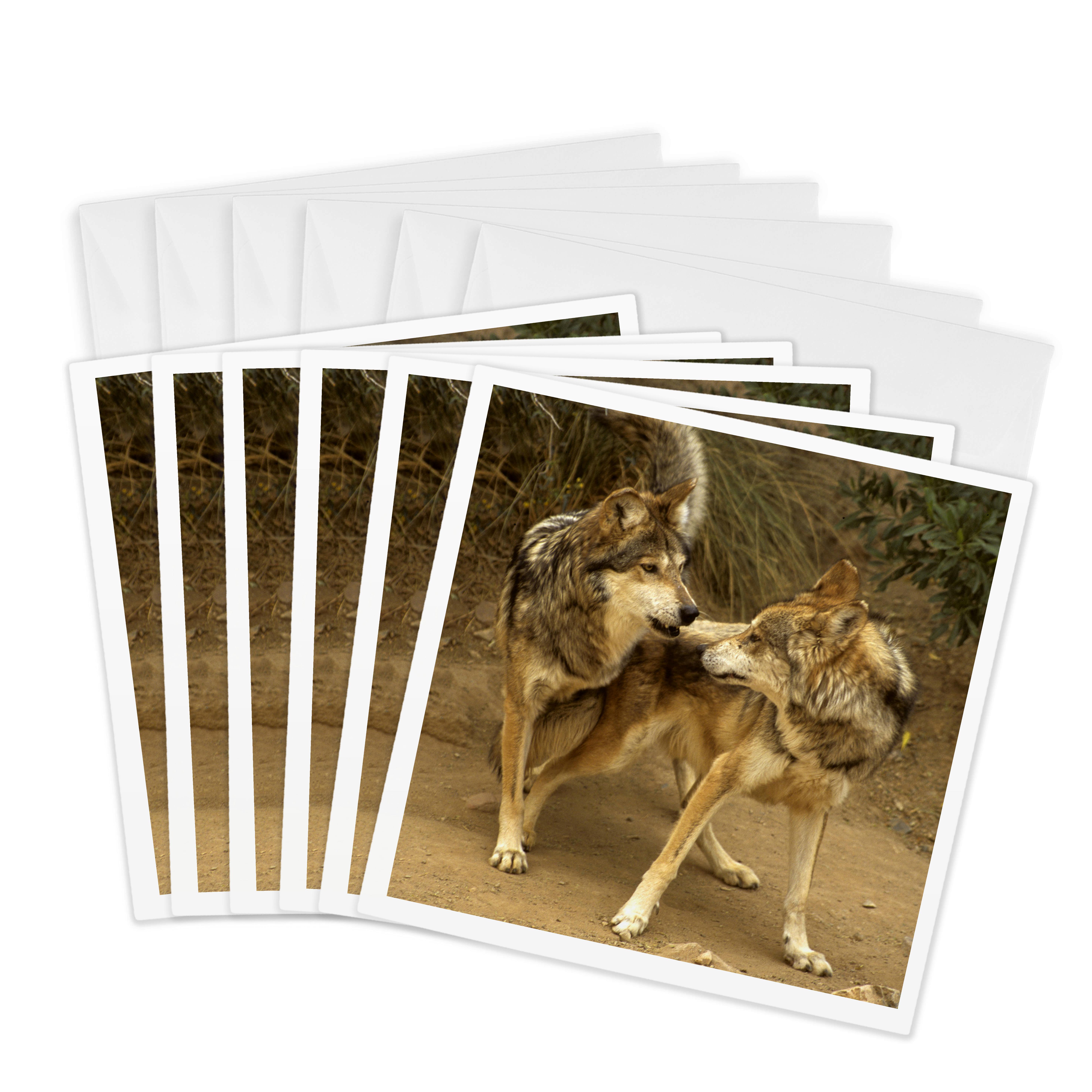 3drose, Gray Wolf Wildlife at the Arizona-sonora Desert Museum - Us03 ...