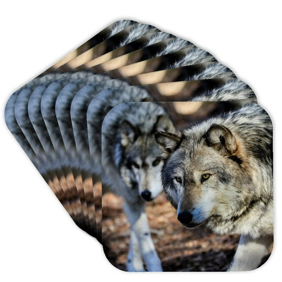 3drose, Gray Wolf with a Friend, Set of 8 Coasters - Soft - Walmart.com