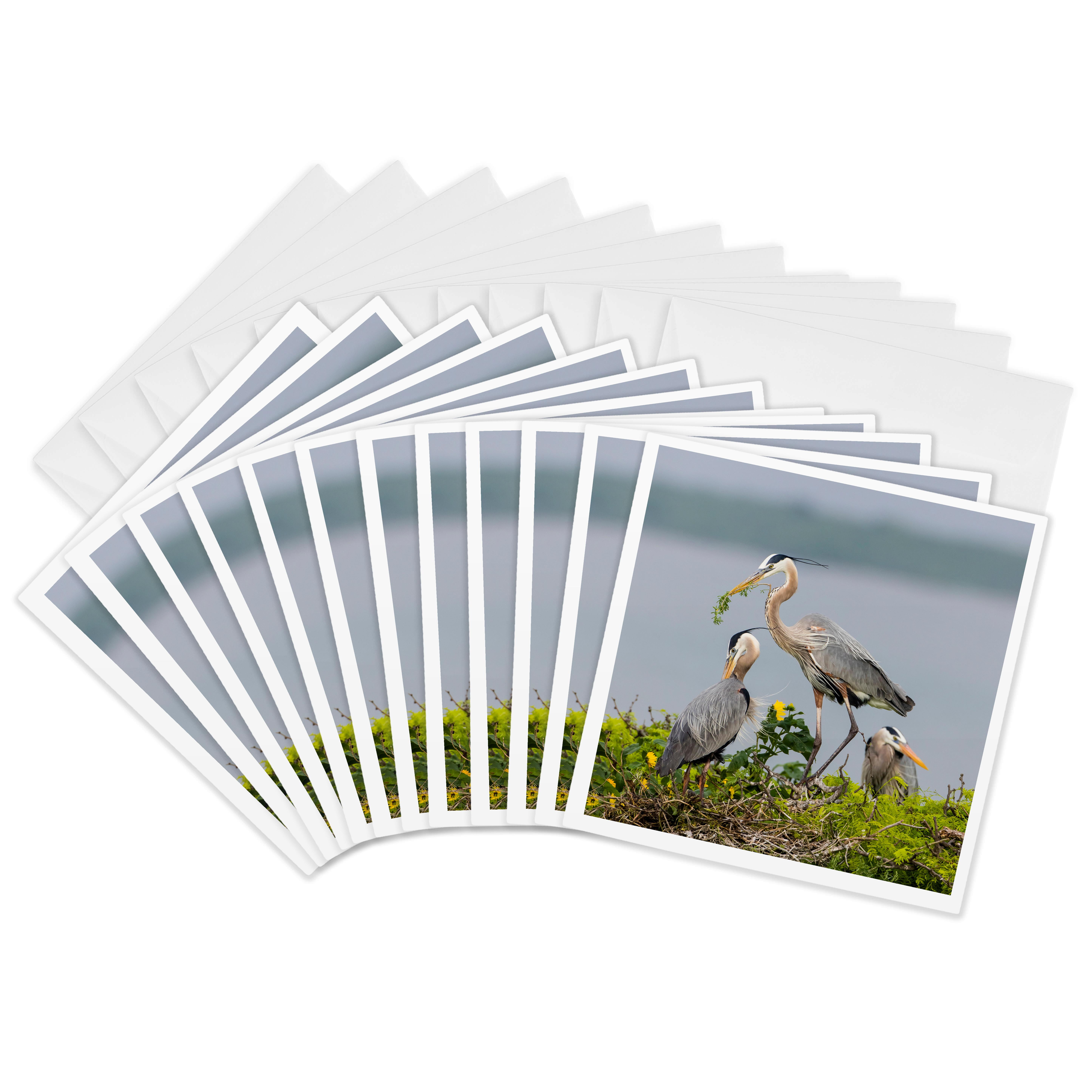 3drose, Great Blue Heron Building Its Nest., 12 Greeting Cards with ...
