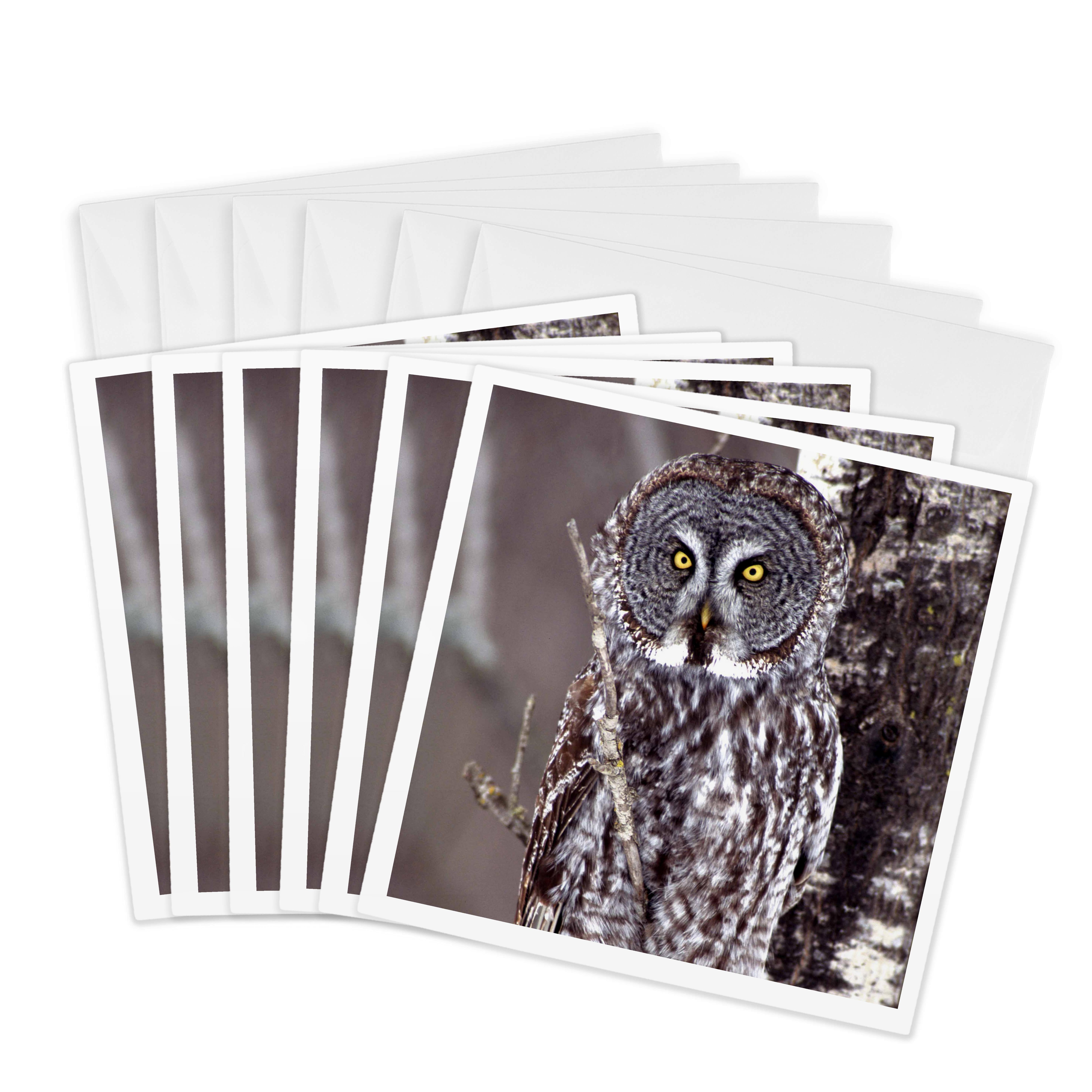 3drose, Great Gray Owl on an Aspen Tree - Us24 Bfr0108 - Bernard Friel ...