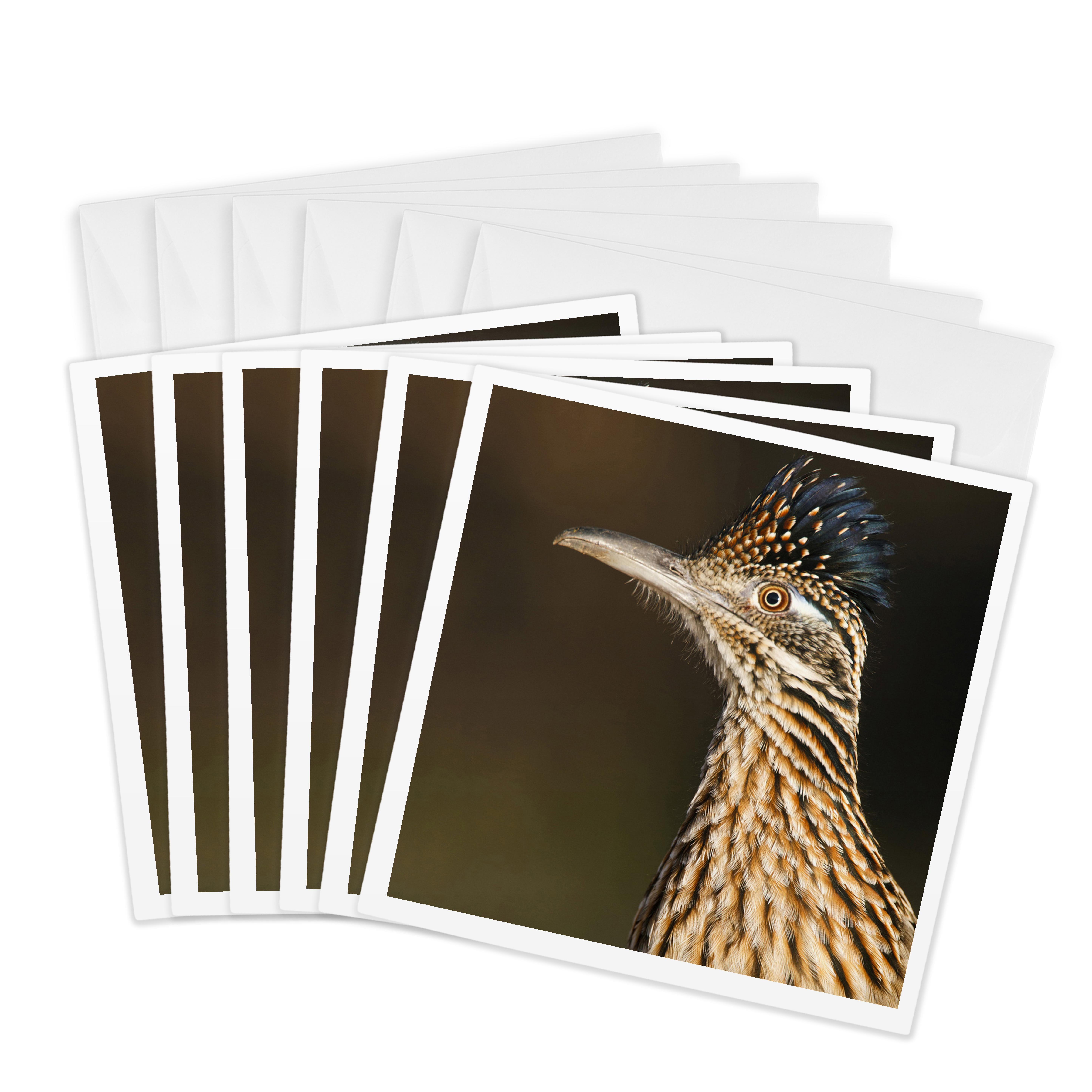 3drose, Greater Roadrunner Bird, Texas, Usa - Us44 Ldi0517 - Larry ...